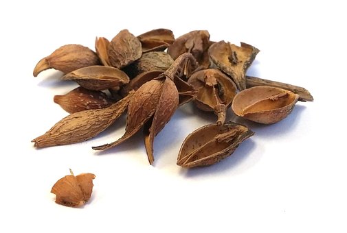 30+ Free Traditional Chinese Medicine & Acupuncture Images - Pixabay