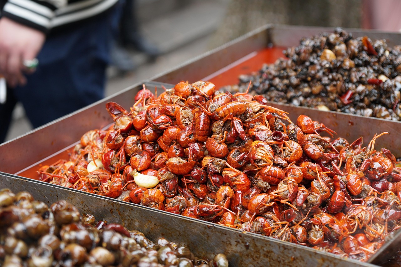 Wuhan Gourmet - Free photo on Pixabay