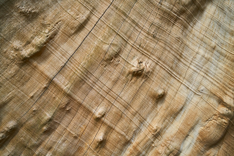 Madera Árbol Naturaleza Tableros - Foto gratis en Pixabay