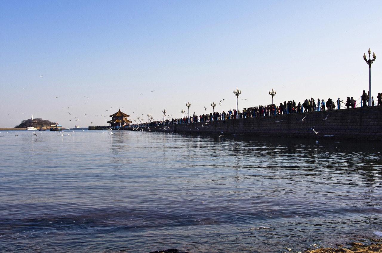 60+ Free Qingdao & Nature Photos - Pixabay
