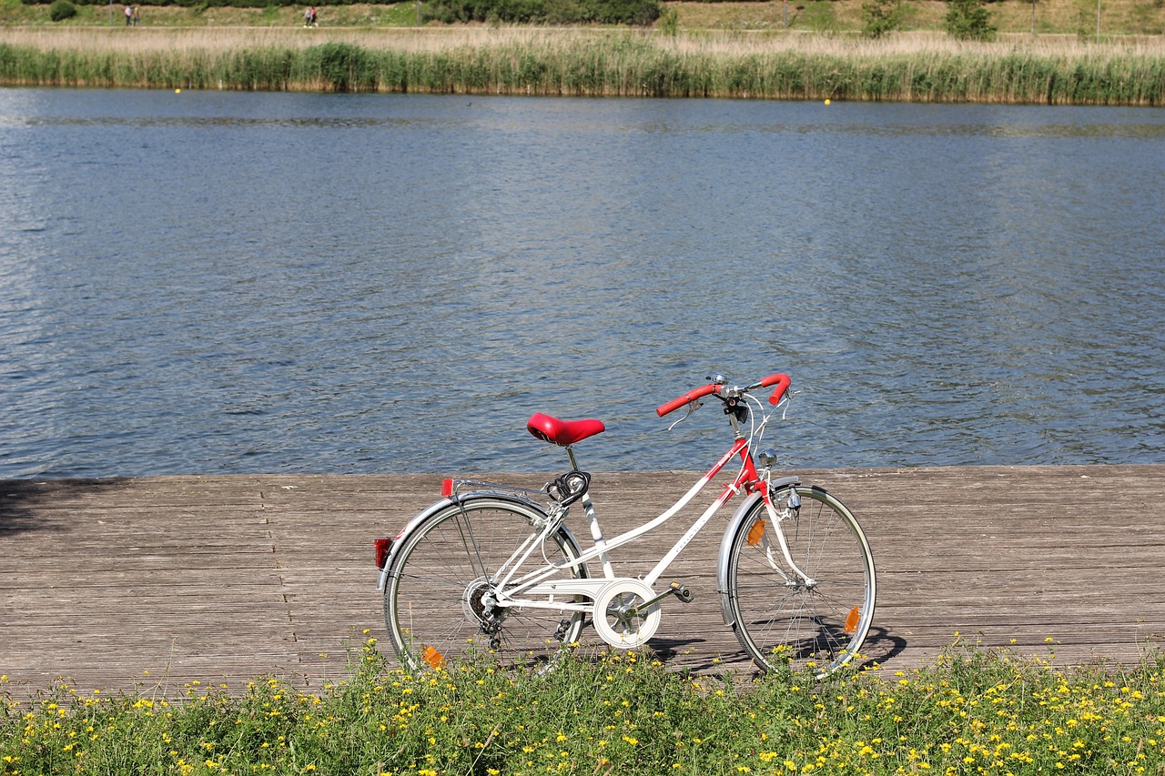 Fahrrad Freizeit Radfahren - Kostenloses Foto auf Pixabay - Pixabay