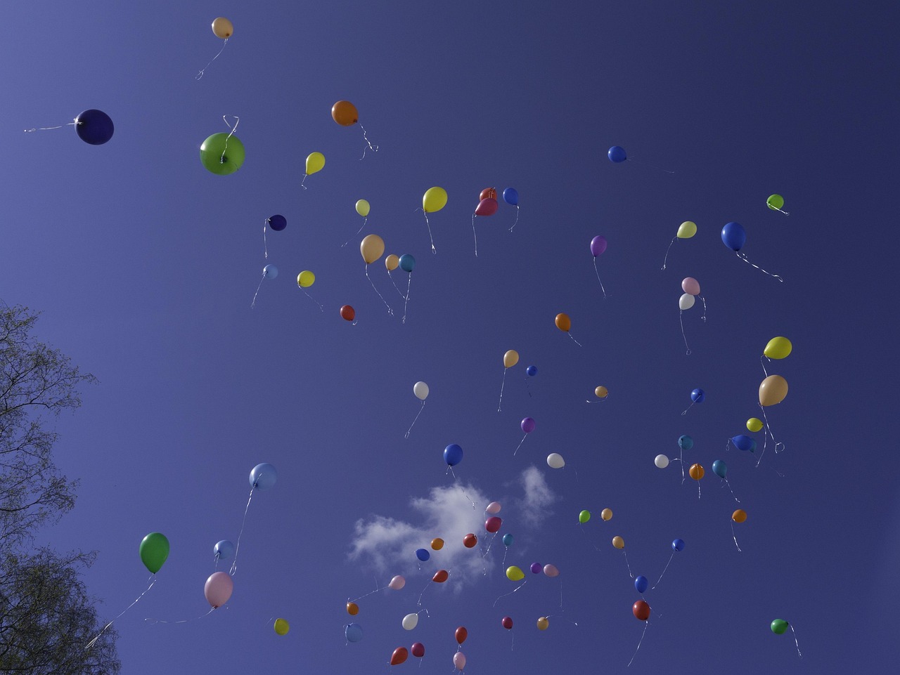 700+ kostenlose Luftballons und Ballons-Bilder - Pixabay