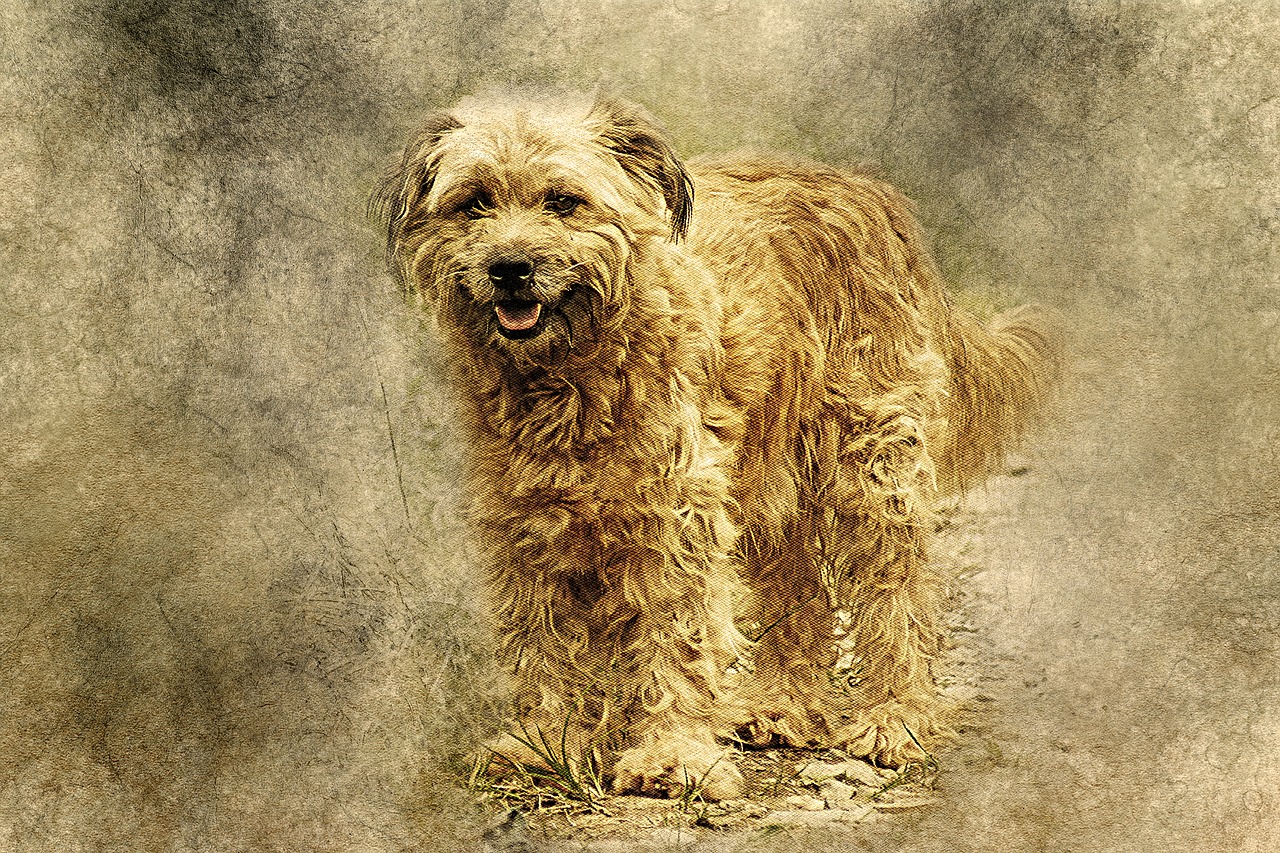 Download Dog Animal Art Royalty-Free Stock Illustration Image - Pixabay