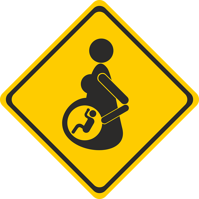 Download Pregnant, Warning Sign, Sign. Royalty-Free Vector Graphic ...