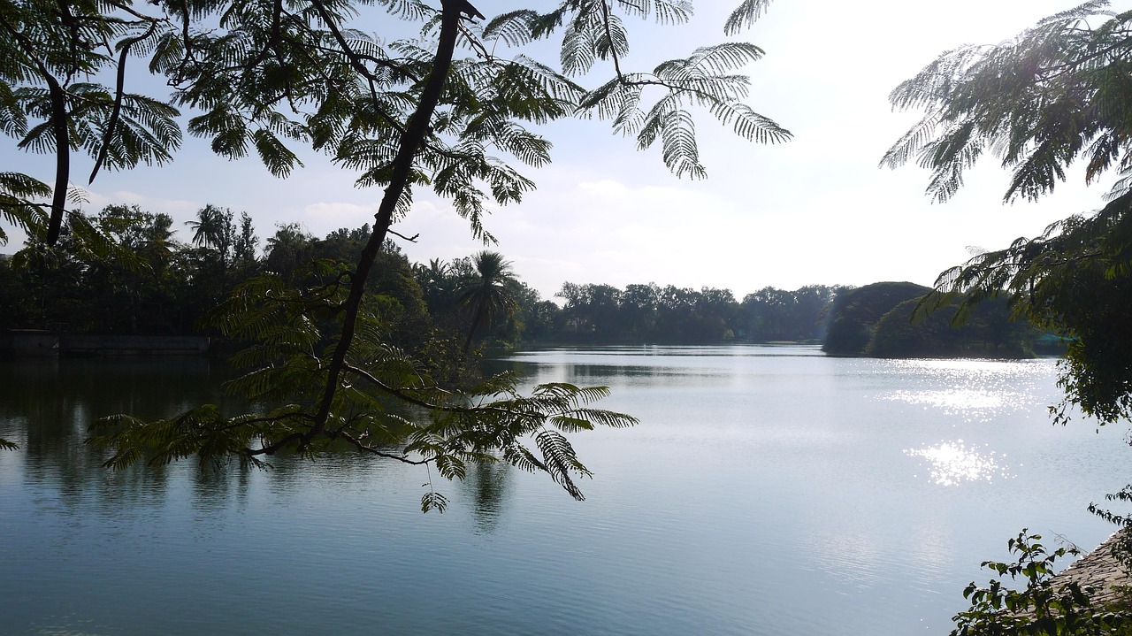 200+ Free Bangalore & India Images - Pixabay
