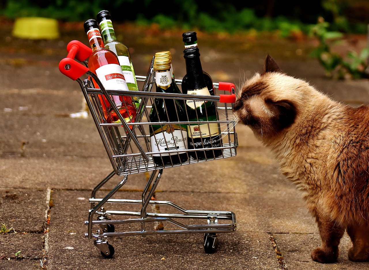 70+ Free Pet Shop & Pet Images - Pixabay