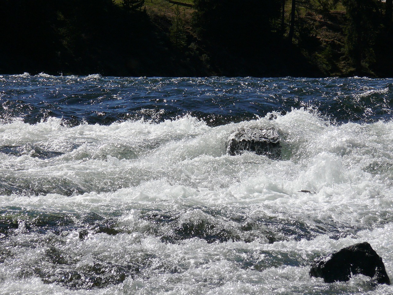 Wilde Wasser Natur - Kostenloses Foto auf Pixabay - Pixabay