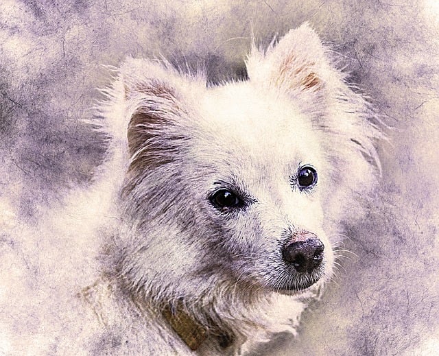 Download Dog Puppy Pet Royalty-Free Stock Illustration Image - Pixabay
