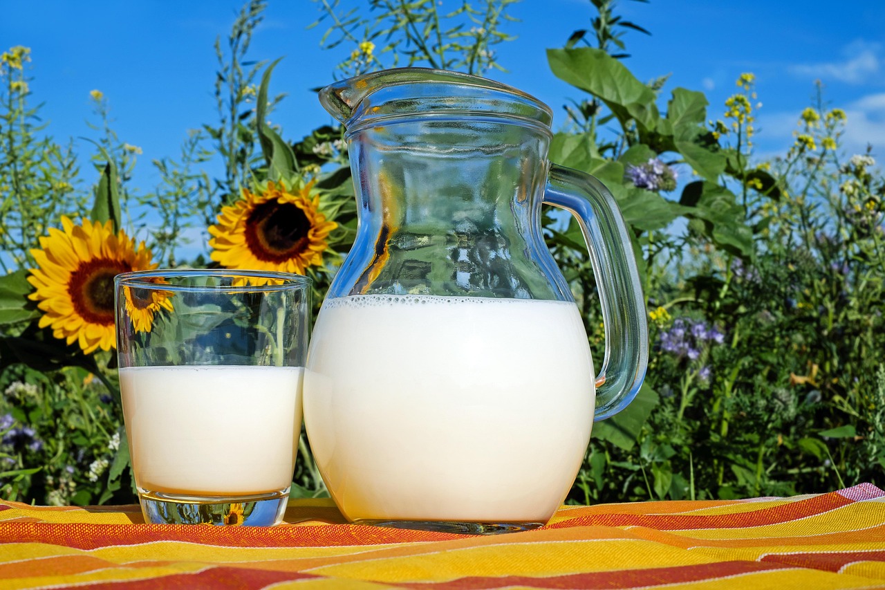 60 000 Gambar Susu Segar Susu Gratis Pixabay