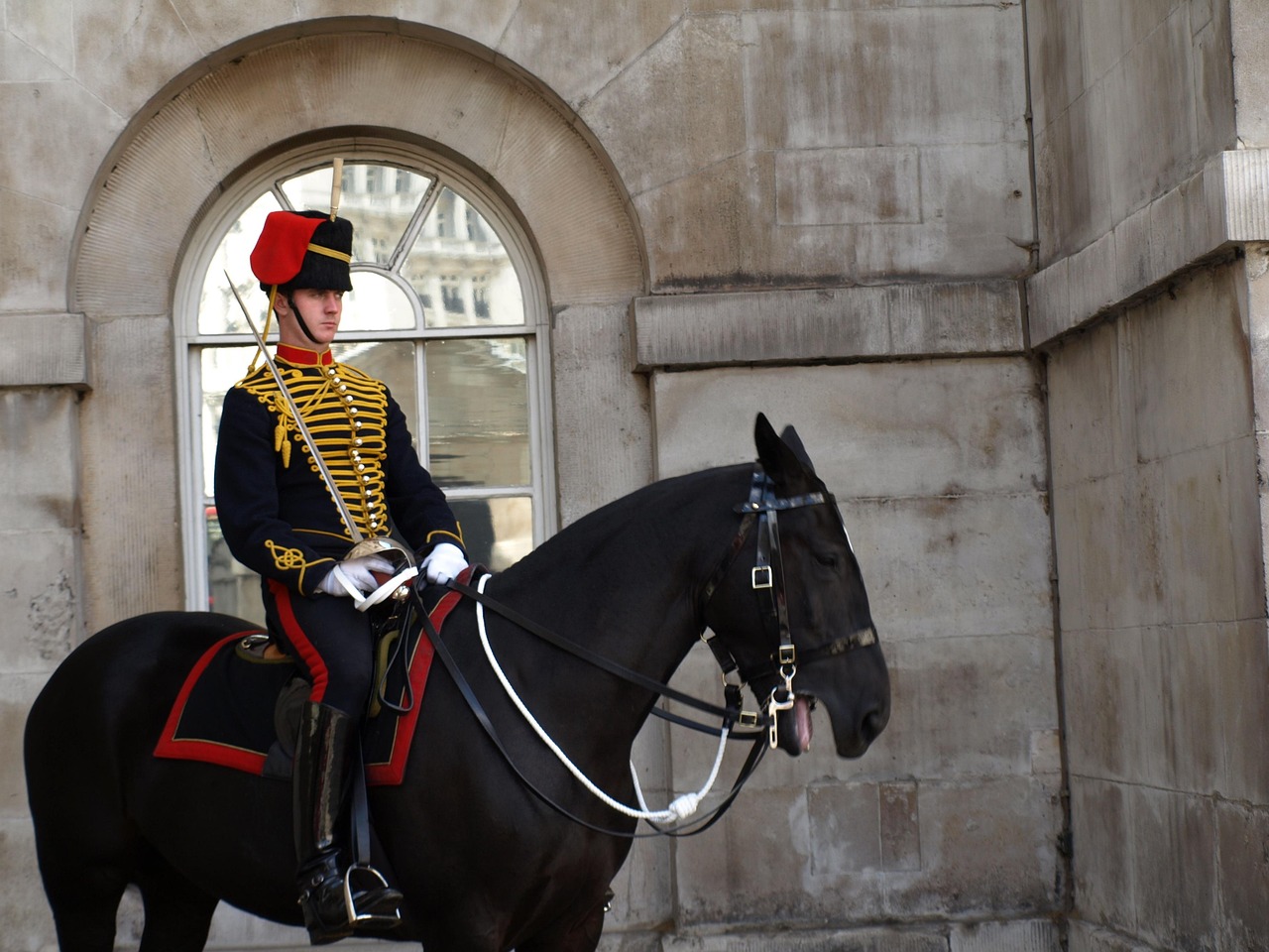 London Guard Horse - Free photo on Pixabay - Pixabay