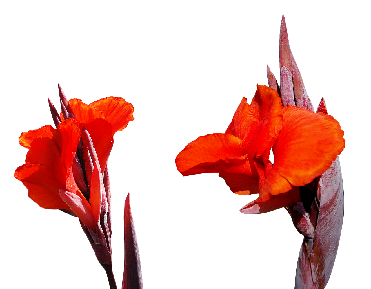 70,000+ Free Highway Pictures In High Resolution & Highway Images - Pixabay