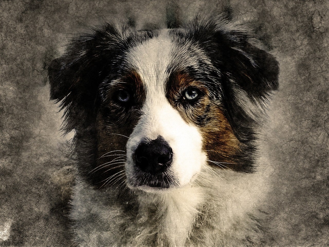 Download Dog Pet Art Royalty-Free Stock Illustration Image - Pixabay