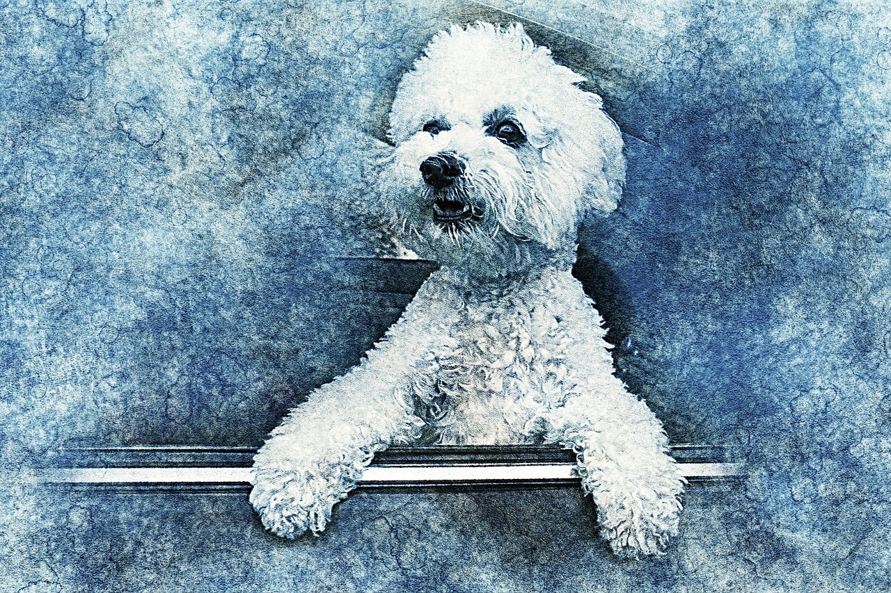Download Dog, Pet, Art. Royalty-Free Stock Illustration Image - Pixabay