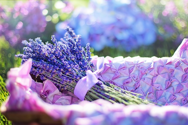 Lavender Images: 5,000+ Free High-Quality Lavender Flower Pictures ...