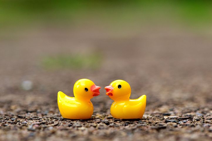 100+ Free Ducky & Rubber Duck Images - Pixabay