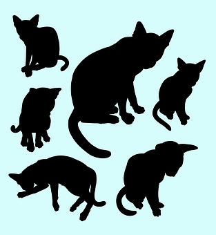 40+ Free Cat Clip Art & Cat Illustrations - Pixabay