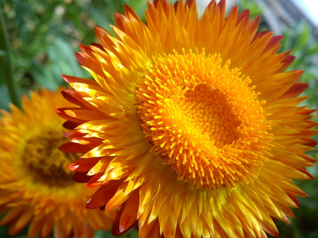 2,000+ Free Always Alive & Alive Images - Pixabay