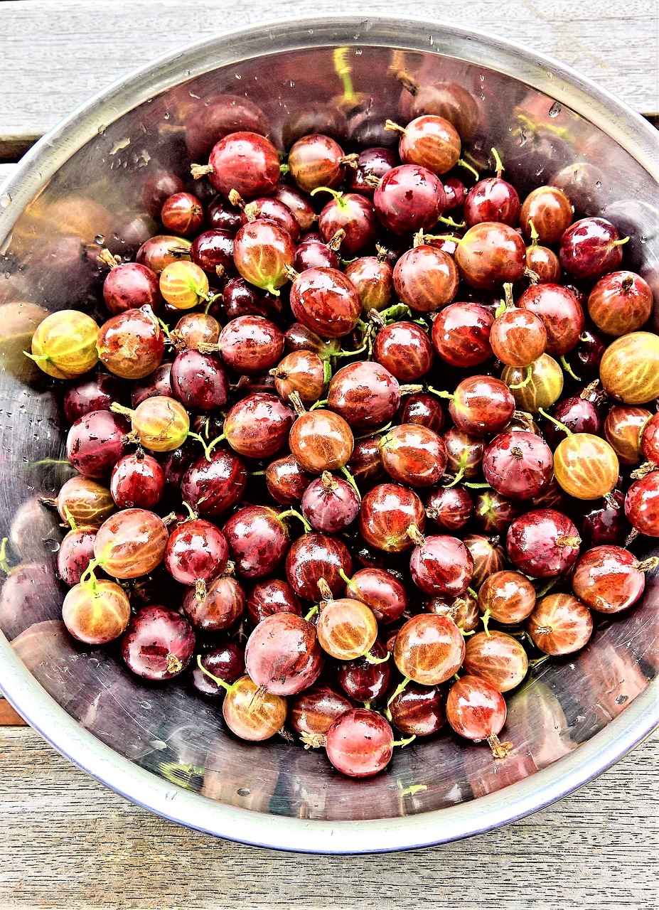 Las Grosellas Rojas Fruta Bayas - Foto gratis en Pixabay - Pixabay