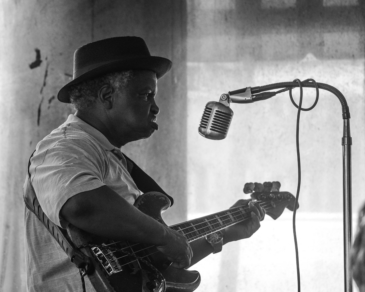 Musician Black And White - Free photo on Pixabay