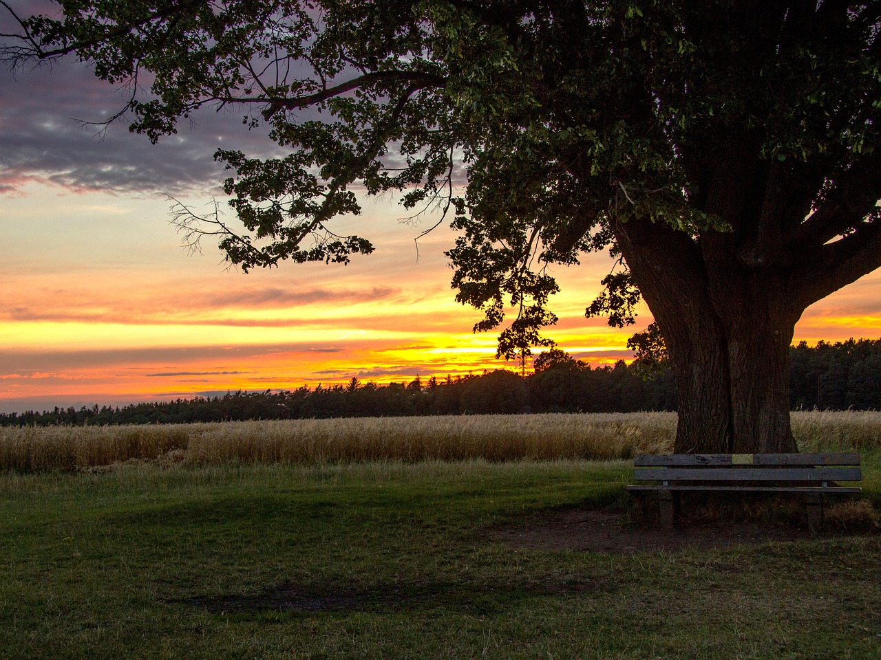 The Beginning Of Summer Sunset - Free photo on Pixabay - Pixabay