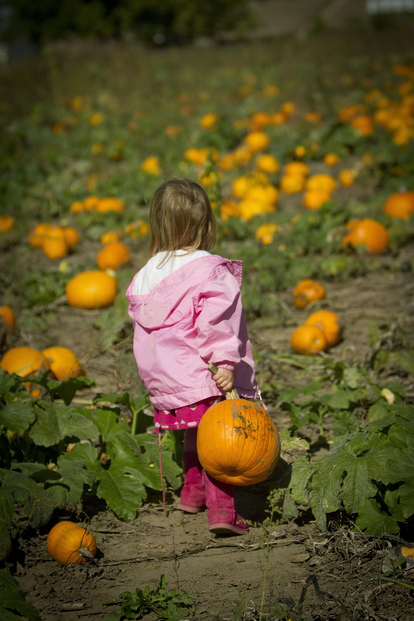 Girl Carrying Pumpkin - Free photo on Pixabay - Pixabay