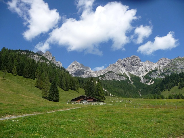 Alm Salzburger Land Mountain Hut - Free photo on Pixabay - Pixabay
