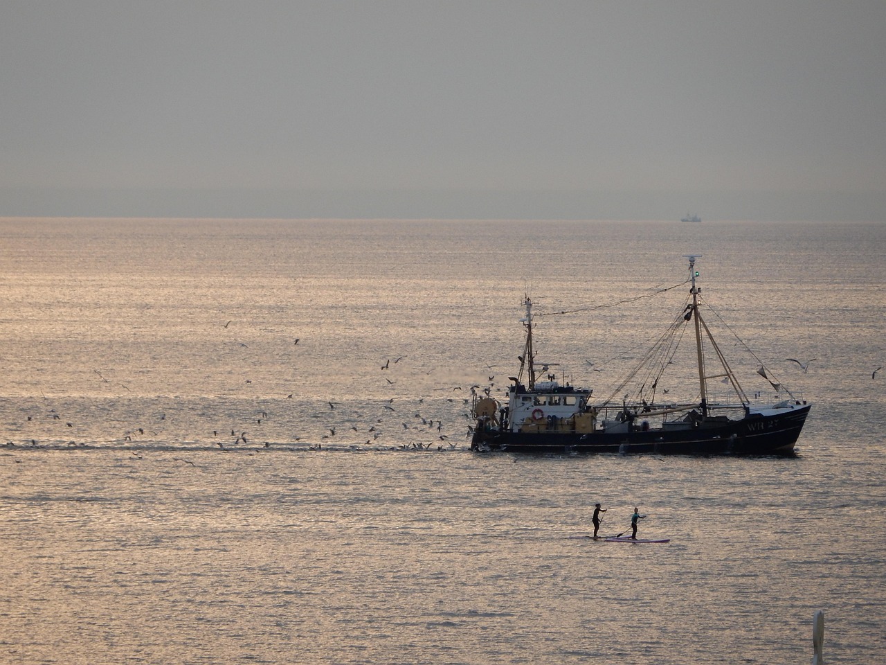 Barco De Pesca Scheveningen Peces - Foto gratis en Pixabay - Pixabay