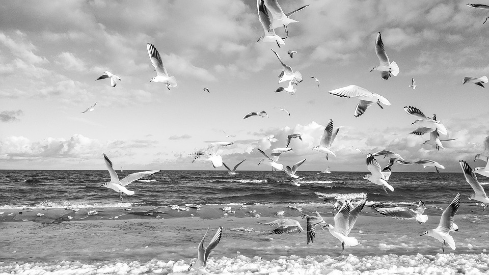 Summer Holiday Free Photo On Pixabay Pixabay