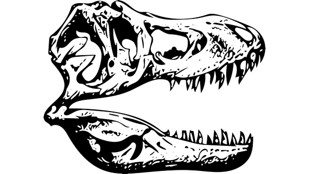 Tyrannosaurus Rex T-Rex - Kostenloses Bild auf Pixabay
