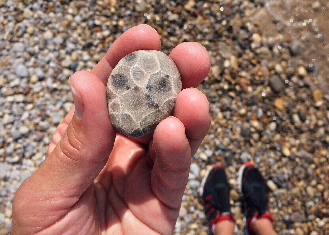 Michigan Stones Hunting