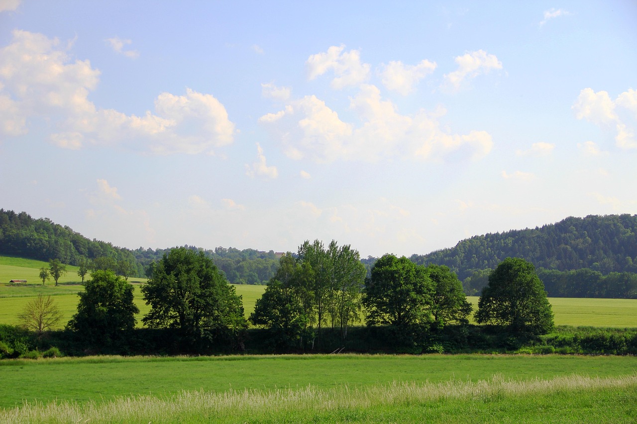 Tree Group Landscape Nature - Free photo on Pixabay - Pixabay