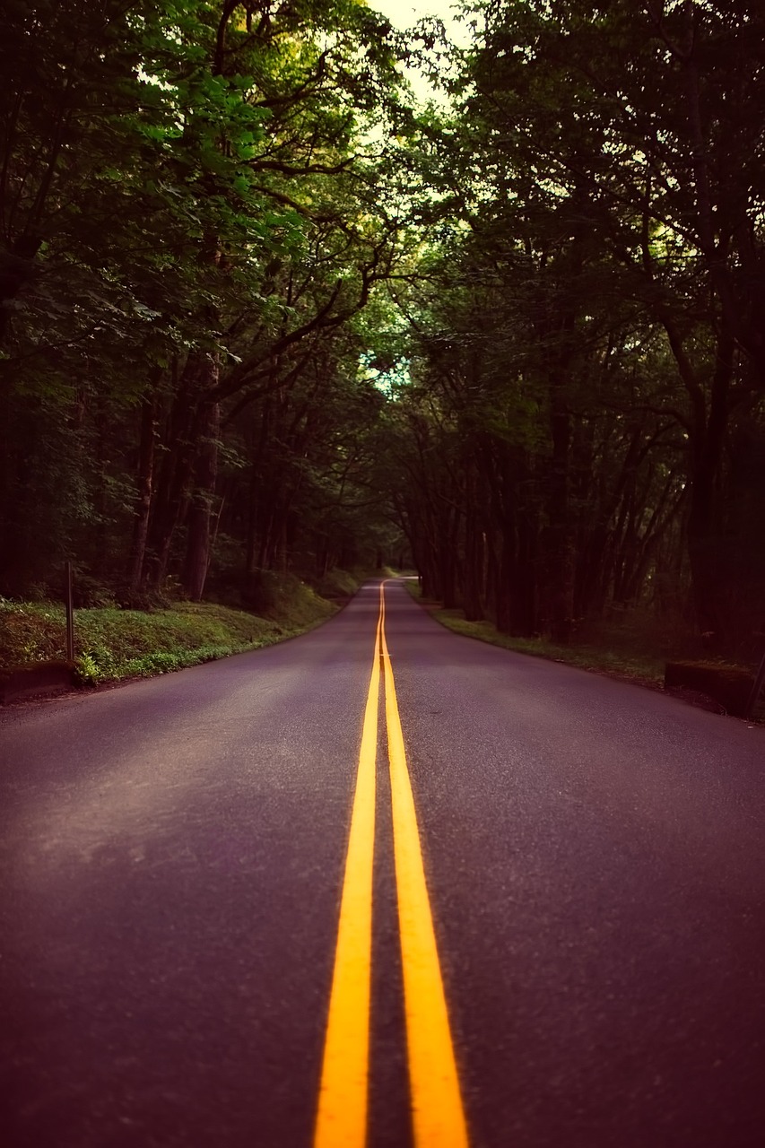1,000+ Free Oregon & Nature Photos - Pixabay