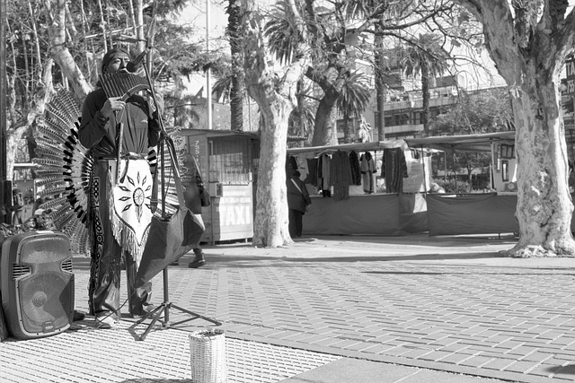 Indian Street Performer Music - Free photo on Pixabay