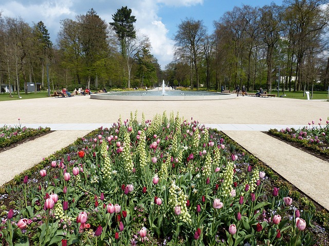 Parc Jardin Conception De - Photo gratuite sur Pixabay - Pixabay