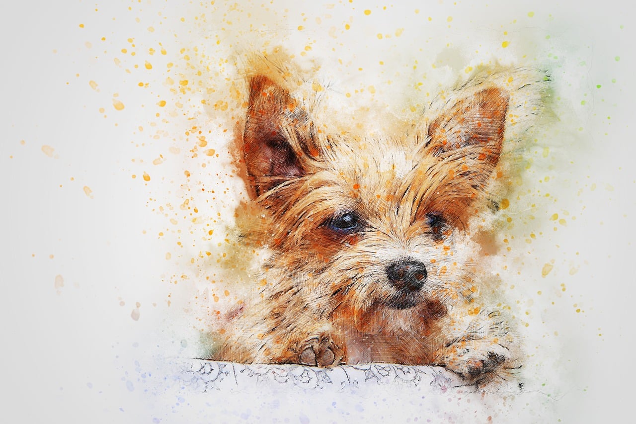 Explore 600+ Free Cute Puppy Illustrations: Download Now - Pixabay