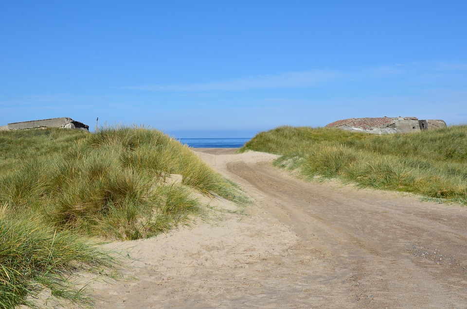 Denmark Beach Sand Dunes North - Free photo on Pixabay - Pixabay