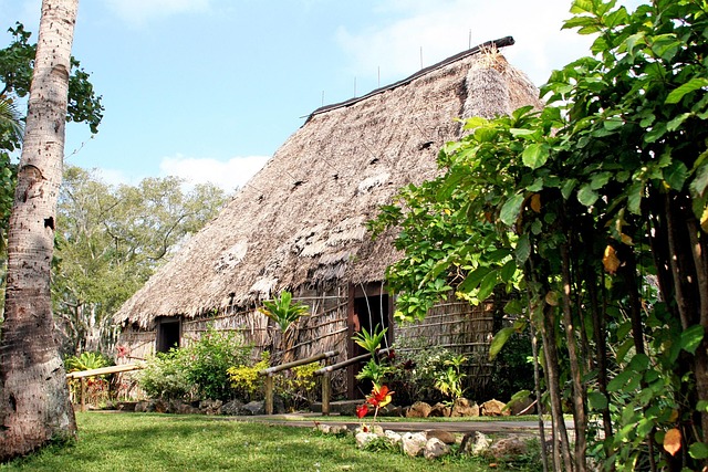 Hawaii Hut Tropical - Free photo on Pixabay