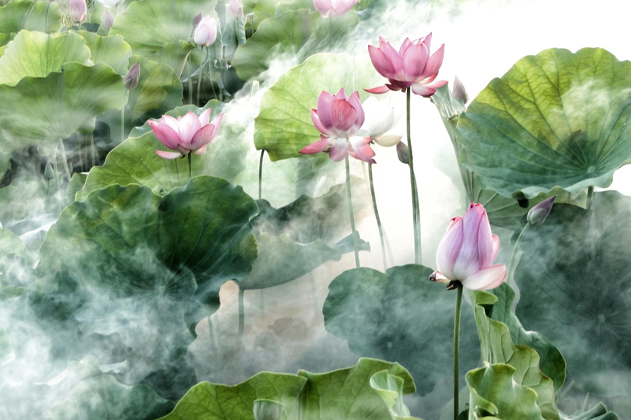 60,000+ Free Cool Flowers & Nature Images - Pixabay