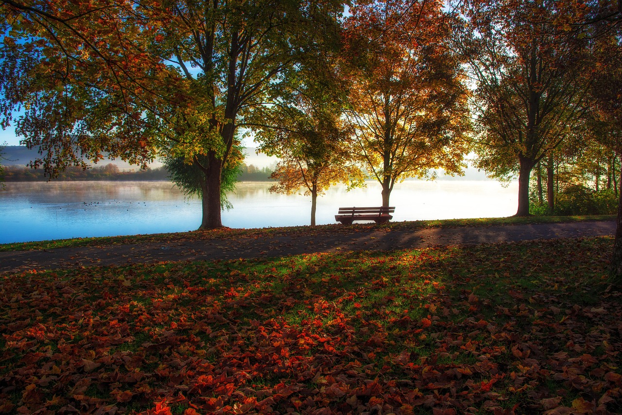 Lake Nature Landscape - Free photo on Pixabay - Pixabay