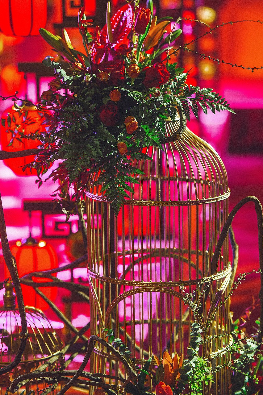 Chinese Wedding Free Photo On Pixabay