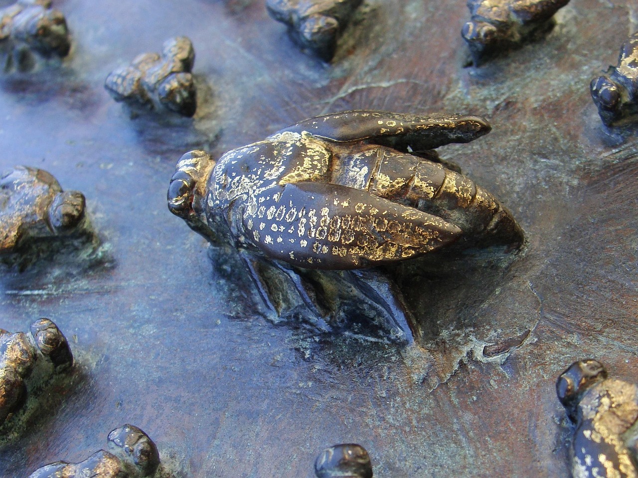 Bee Bronze Relief - Free photo on Pixabay - Pixabay