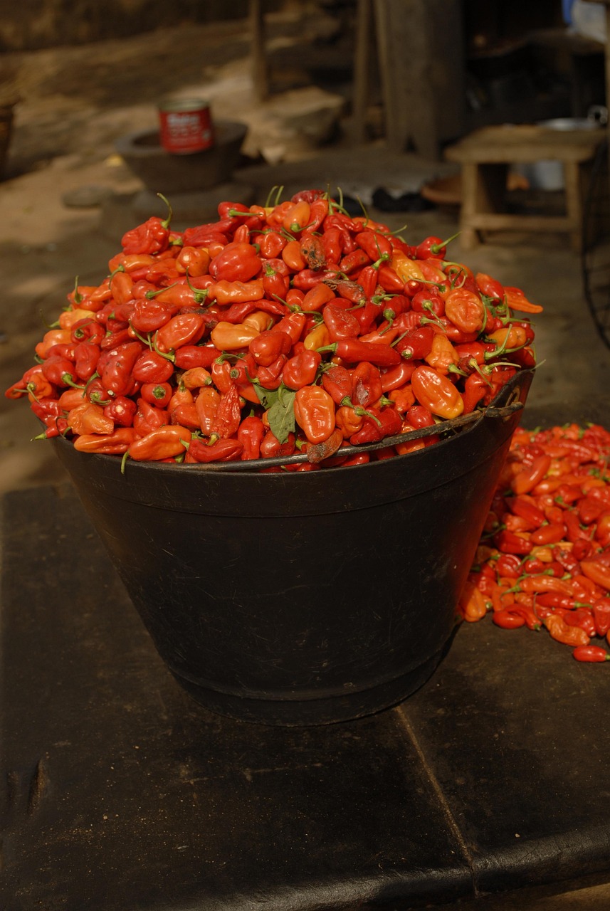 Red Peppers Food - Free photo on Pixabay