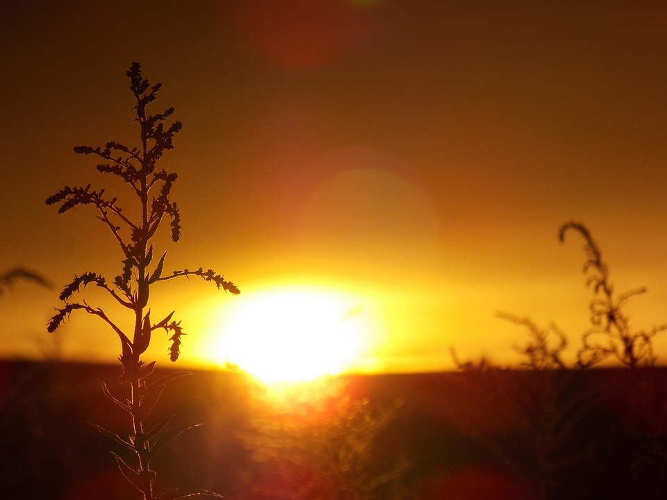 Summer Sunset Free Photo On Pixabay Pixabay