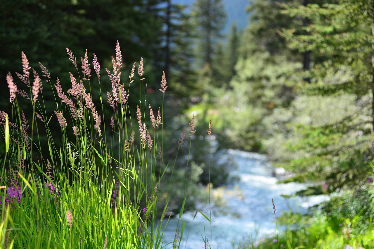 500+ Free Banff & Canada Images - Pixabay
