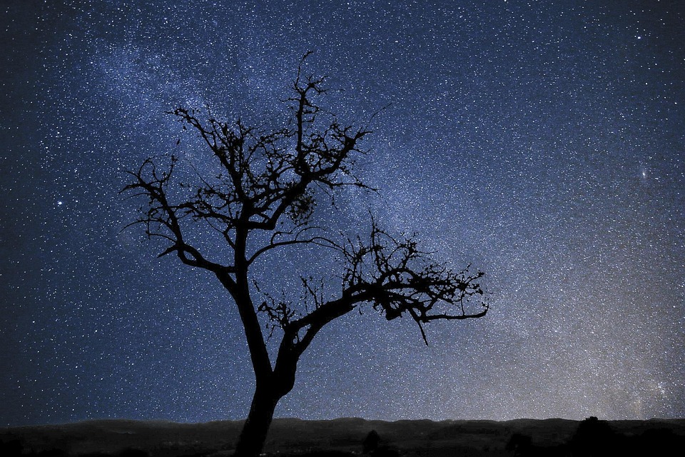 Tree Stars Milkyway - Free photo on Pixabay - Pixabay