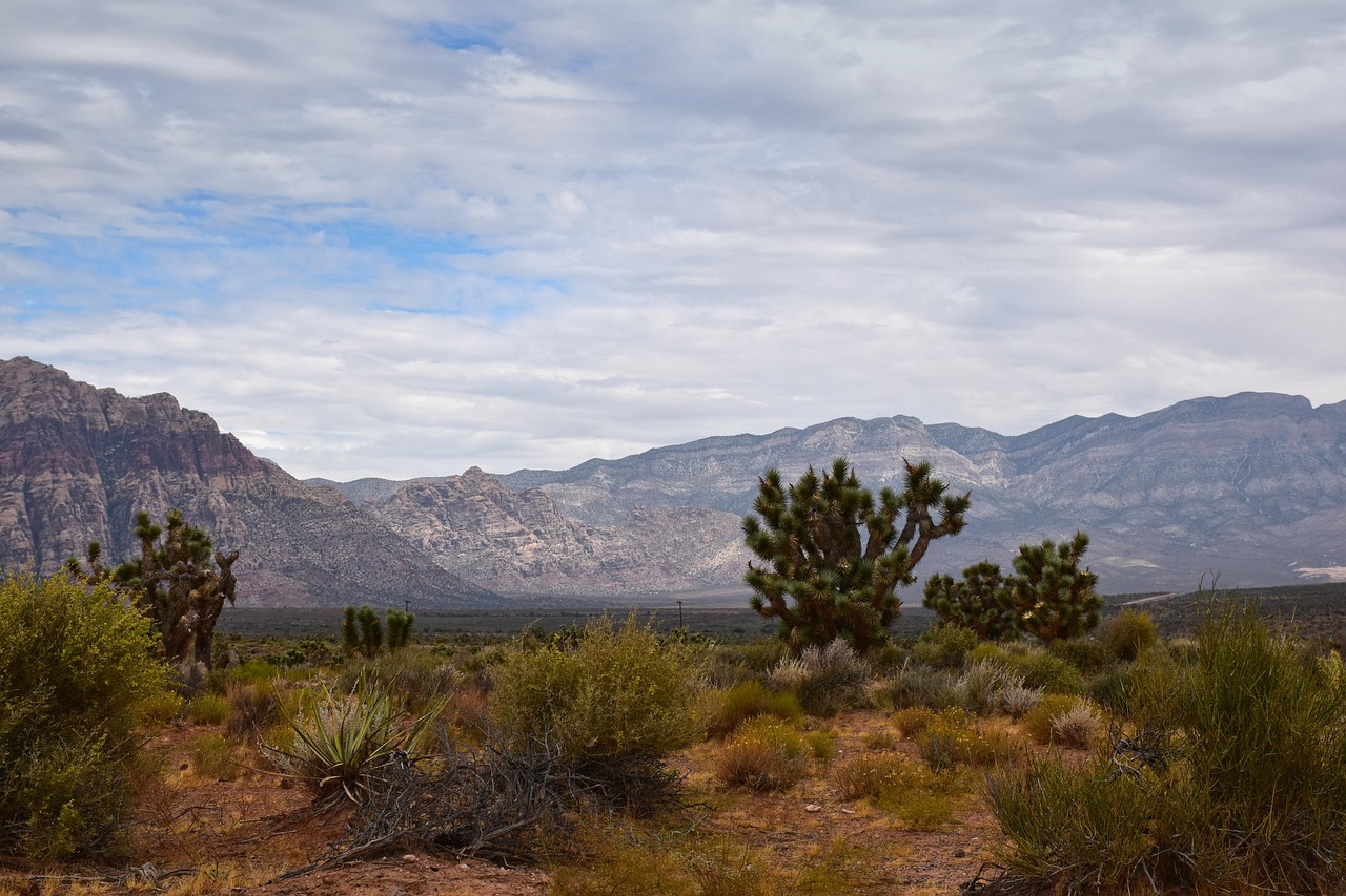 Landscapes Nature Desert - Free photo on Pixabay