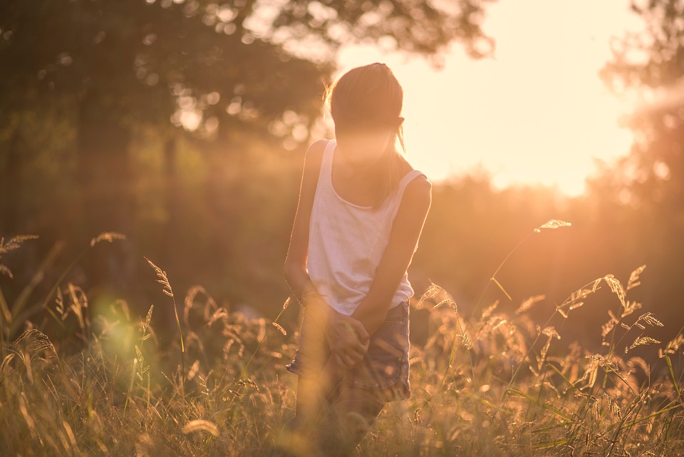 Morning Sunshine Sunrise - Free photo on Pixabay
