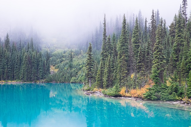 Lago Azul Agua - Foto gratis en Pixabay - Pixabay