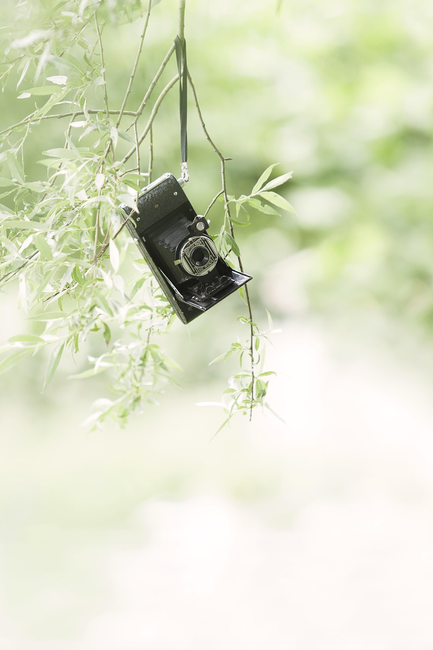 Kamera Foto Vintage Lama - Foto gratis di Pixabay - Pixabay