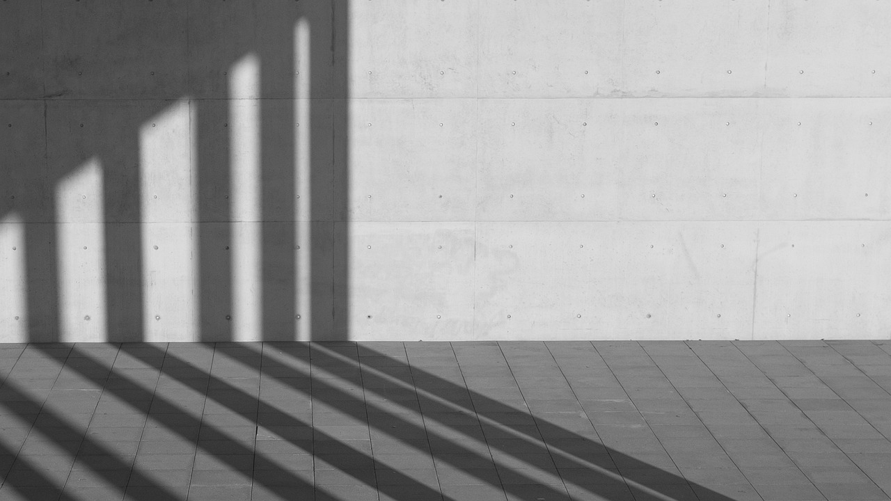 10,000+ Free Shadows & Nature Photos - Pixabay